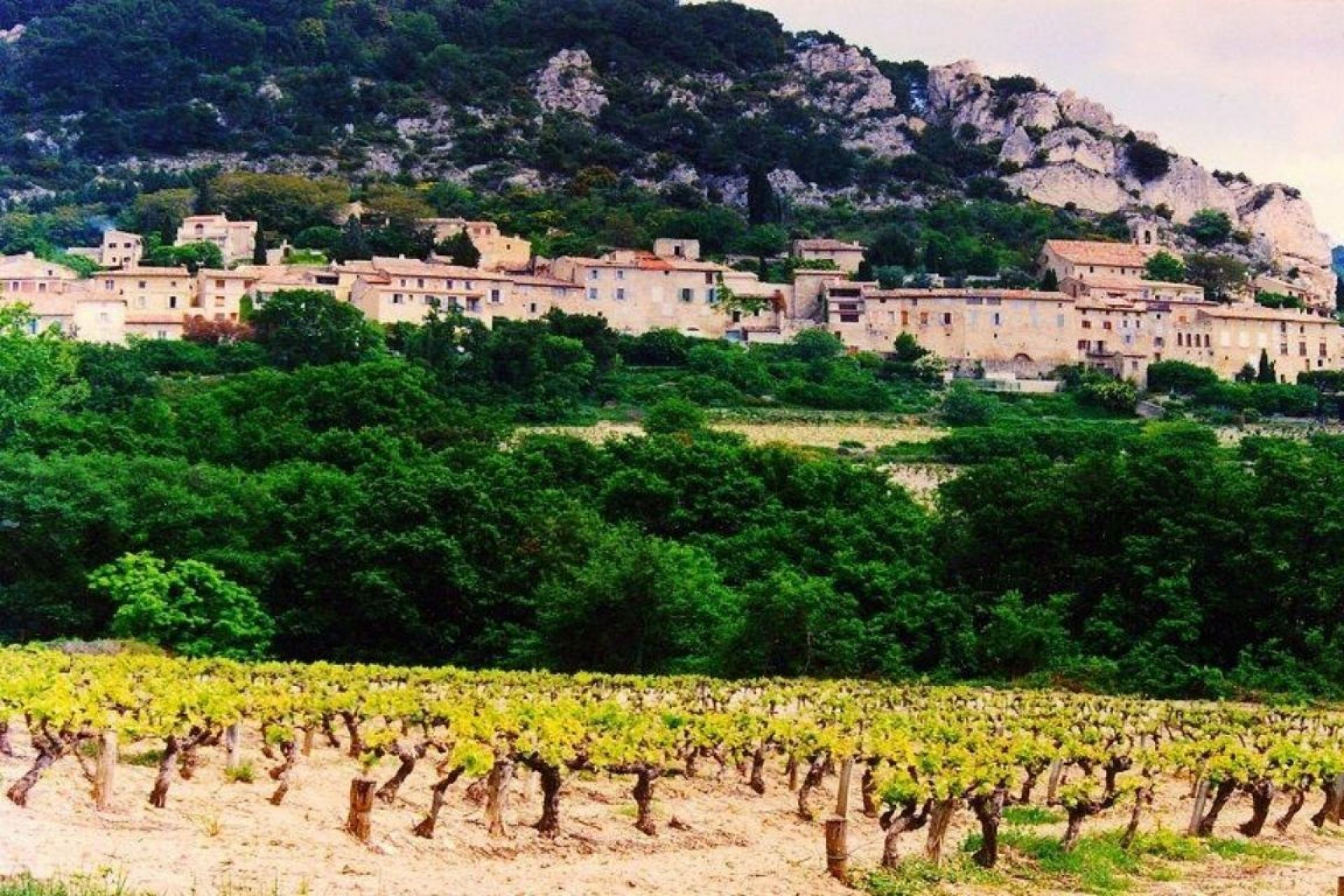 Riding Along The Rhône Valley Wine Region