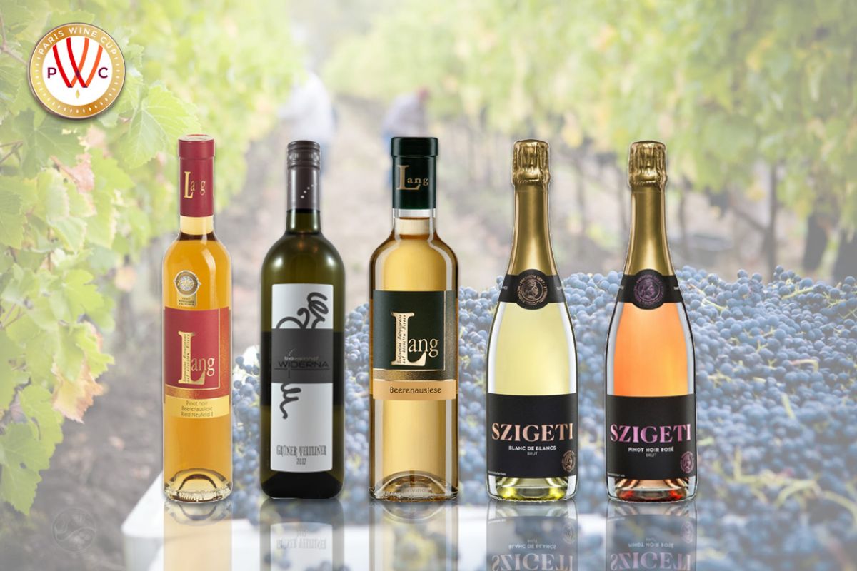 Top 13 des vins d’Autriche à essayer